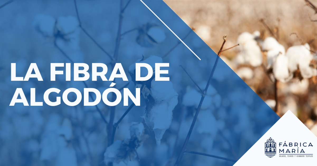 La Fibra de Algodón | Fábrica María